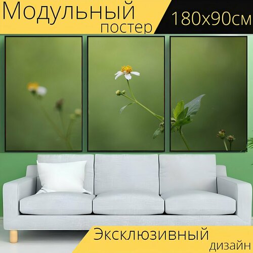 Модульный постер "Природа, флора, цветок" 180 x 90 см. для интерьера