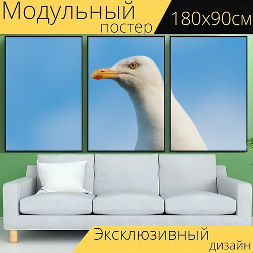 Модульный постер "Клюв, большой, птица" 180 x 90 см. для интерьера