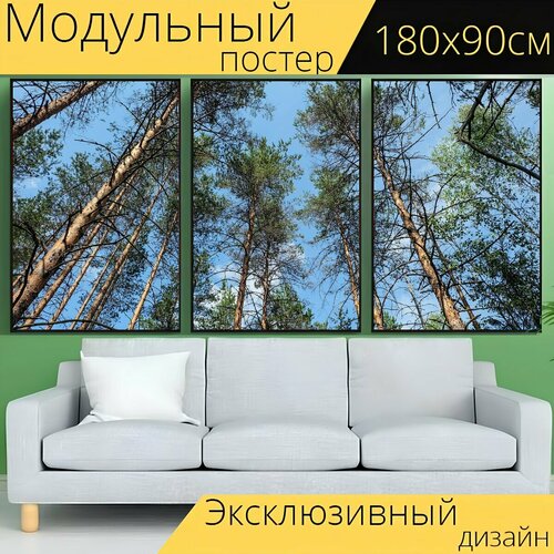 Модульный постер "Лес, россия, красота" 180 x 90 см. для интерьера