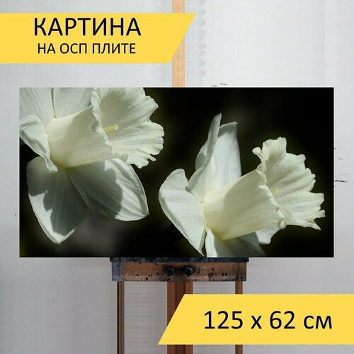Картина на ОСП 125х62 см. "Нарцисс, цветок, пасхальная лилия" горизонтальная, для интерьера, с креплениями