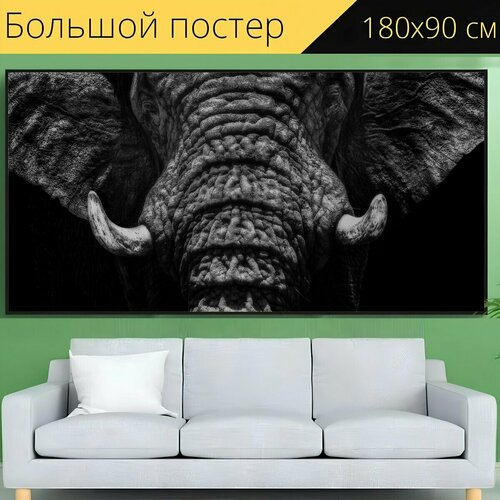 Большой постер "Слон, закрыть, черное и белое" 180 x 90 см. для интерьера