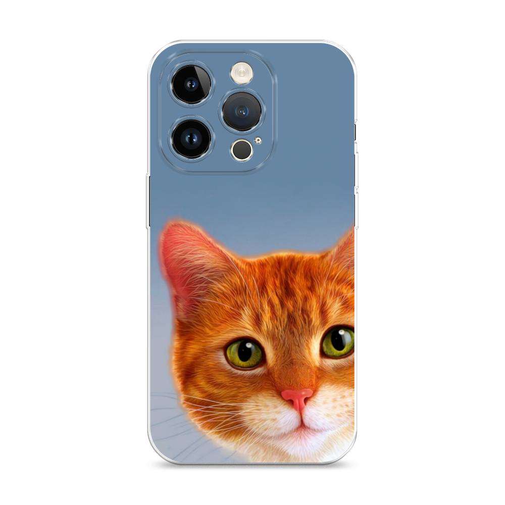 Чехол на Apple iPhone 14 Pro "Любопытный котик"