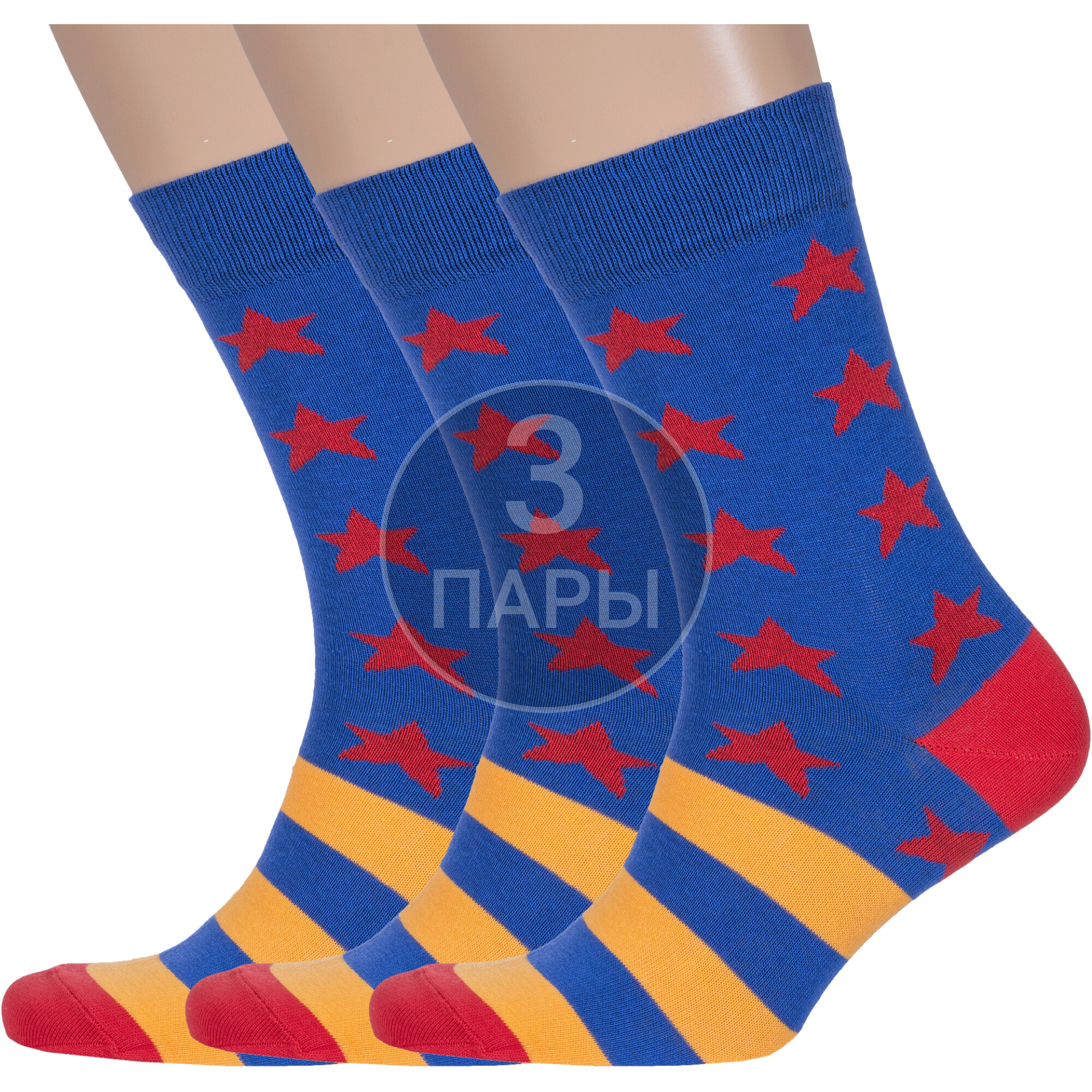 Комплект носков мужских Борисоглебский трикотаж 3-4СК разноцветных 27-29
