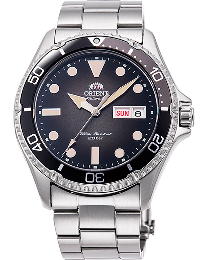 Наручные часы мужские Orient RA-AA0810N19B серебристые
