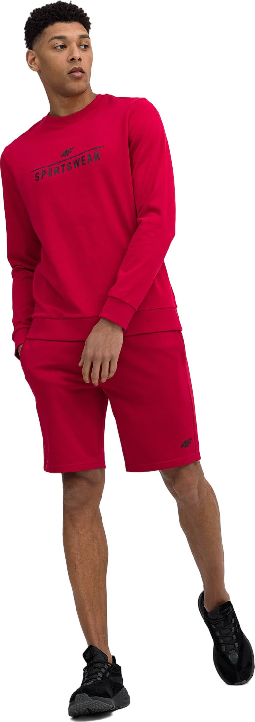 Спортивные шорты мужские SHORTS CAS M156 4F красные M