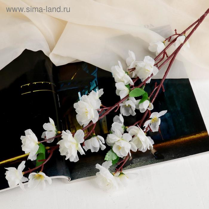 Цветы искусственные Сакура нежность 65 см d-4 см, белый
