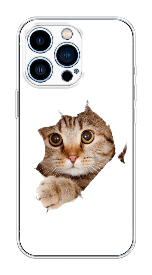Чехол на Apple iPhone 13 Pro "Кот и бумага"