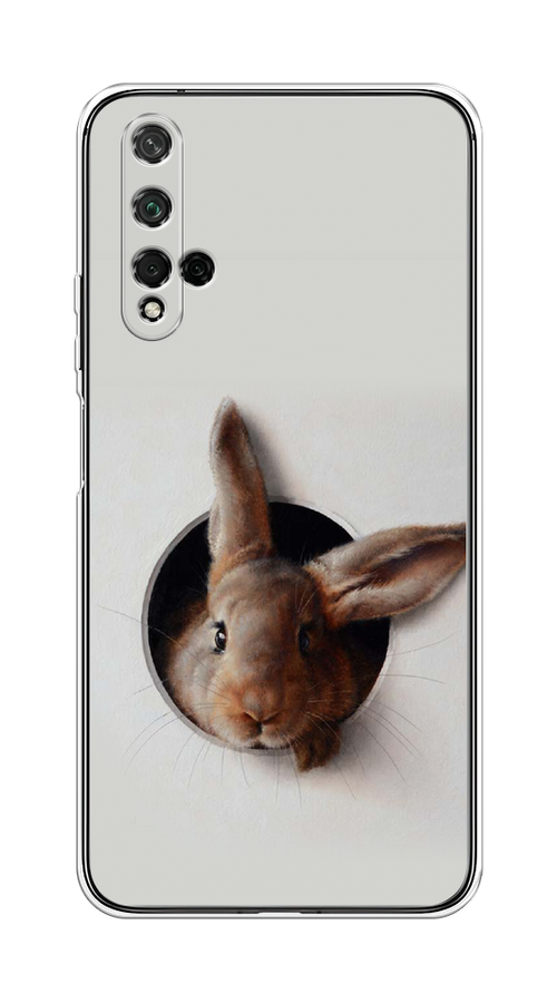 Чехол на Honor 20/Huawei Nova 5T "Любопытный кролик"