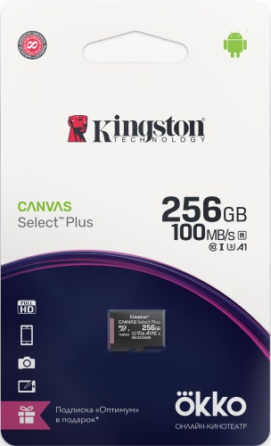 Карта памяти Kingston SDCS2OK/256GB