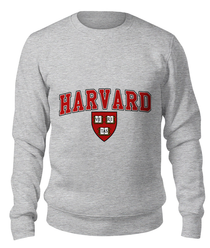 Свитшот мужской Printio Harvard серый XS