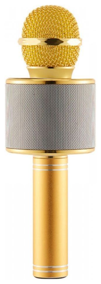 Микрофон-колонка Wster WS 858 Gold/Silver