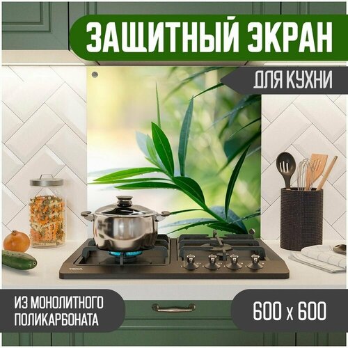 Защитный экран для кухни 600 х 600 х 3 мм Оливкипрозрачное, 600-006