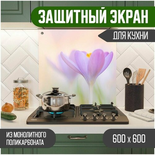 Защитный экран для кухни 600 х 600 х 3 мм Цветыпрозрачное, 600-006