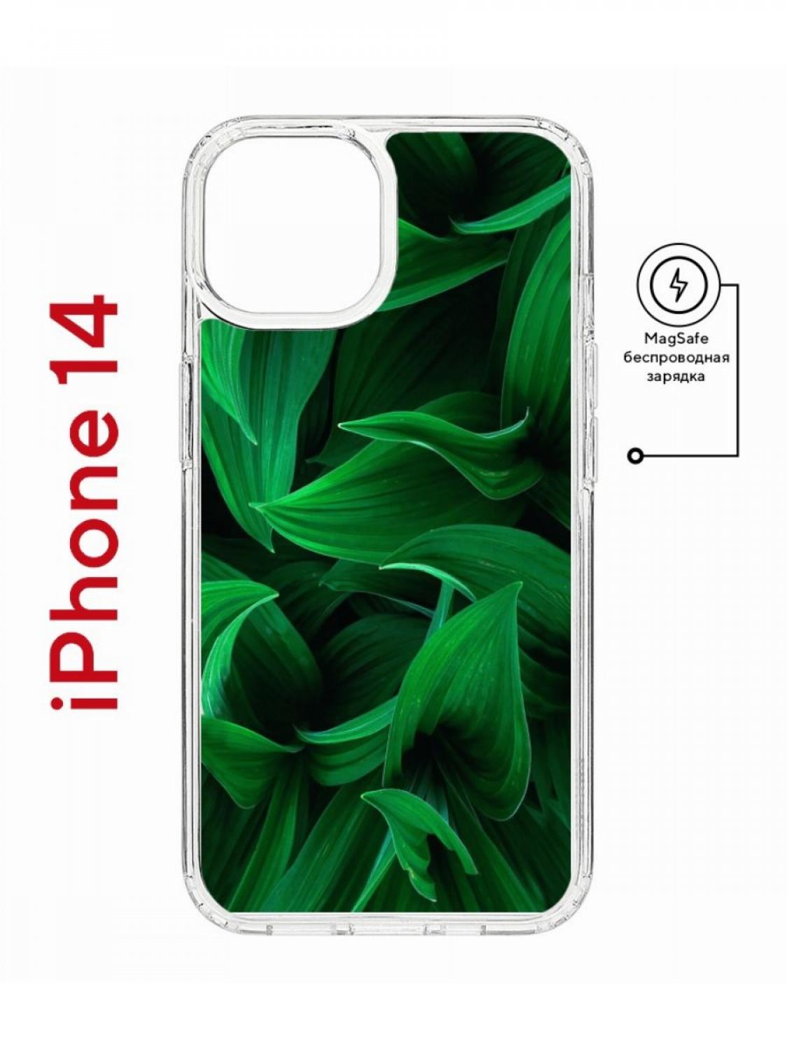 Чехол на iPhone 14 MagSafe с принтом Kruche Print Grass противоударный с магнитом