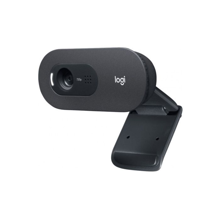 Web-камера Logitech C505 Black (960-001364)