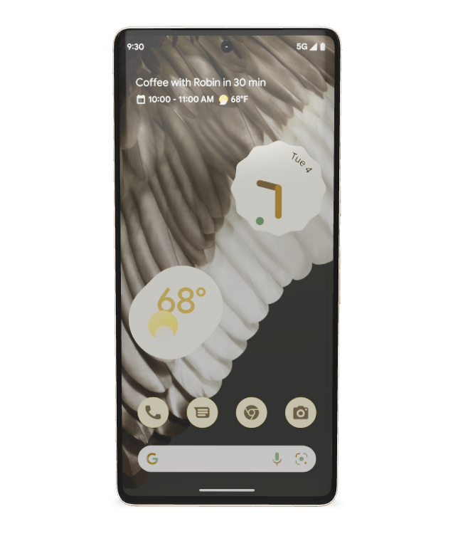 Смартфон Google Pixel 7 Pro 12/128 ГБ Ореховый (JP)