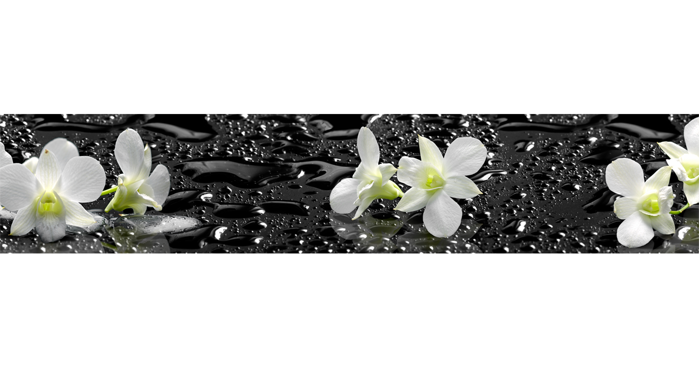 Кухонный фартук Dellitas Белые орхидеи 1012 300х60см АБС пластик фотопечать