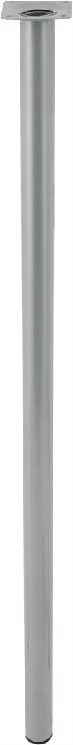 Ножка круглая 800х30 мм сталь максимальная нагрузка 50 кг цвет серый