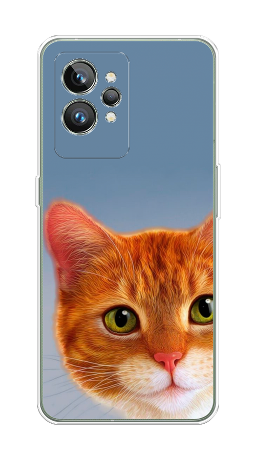 Чехол на Realme GT 2 Pro "Любопытный котик"